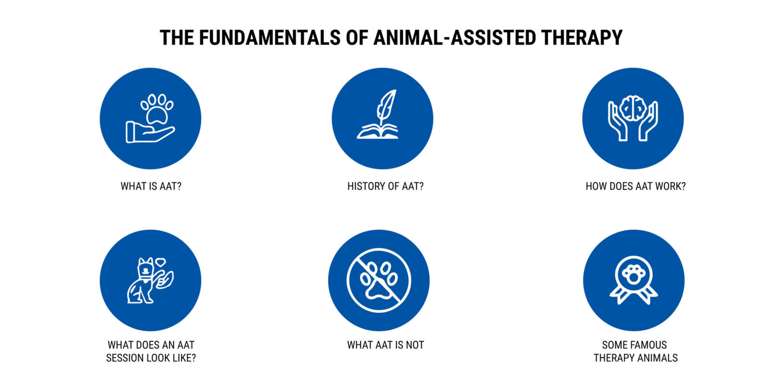 Become An Animal-Assisted Therapist [Guide For 2024]